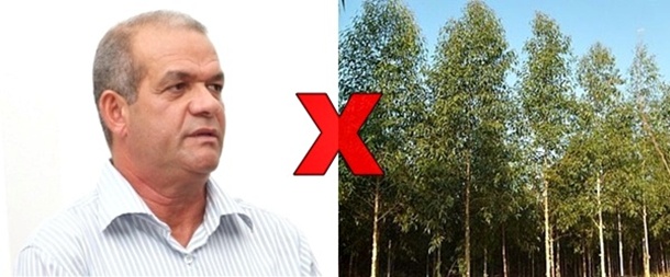 Prefeito de Guaratinga acata decisão da justiça e caça licença para ...